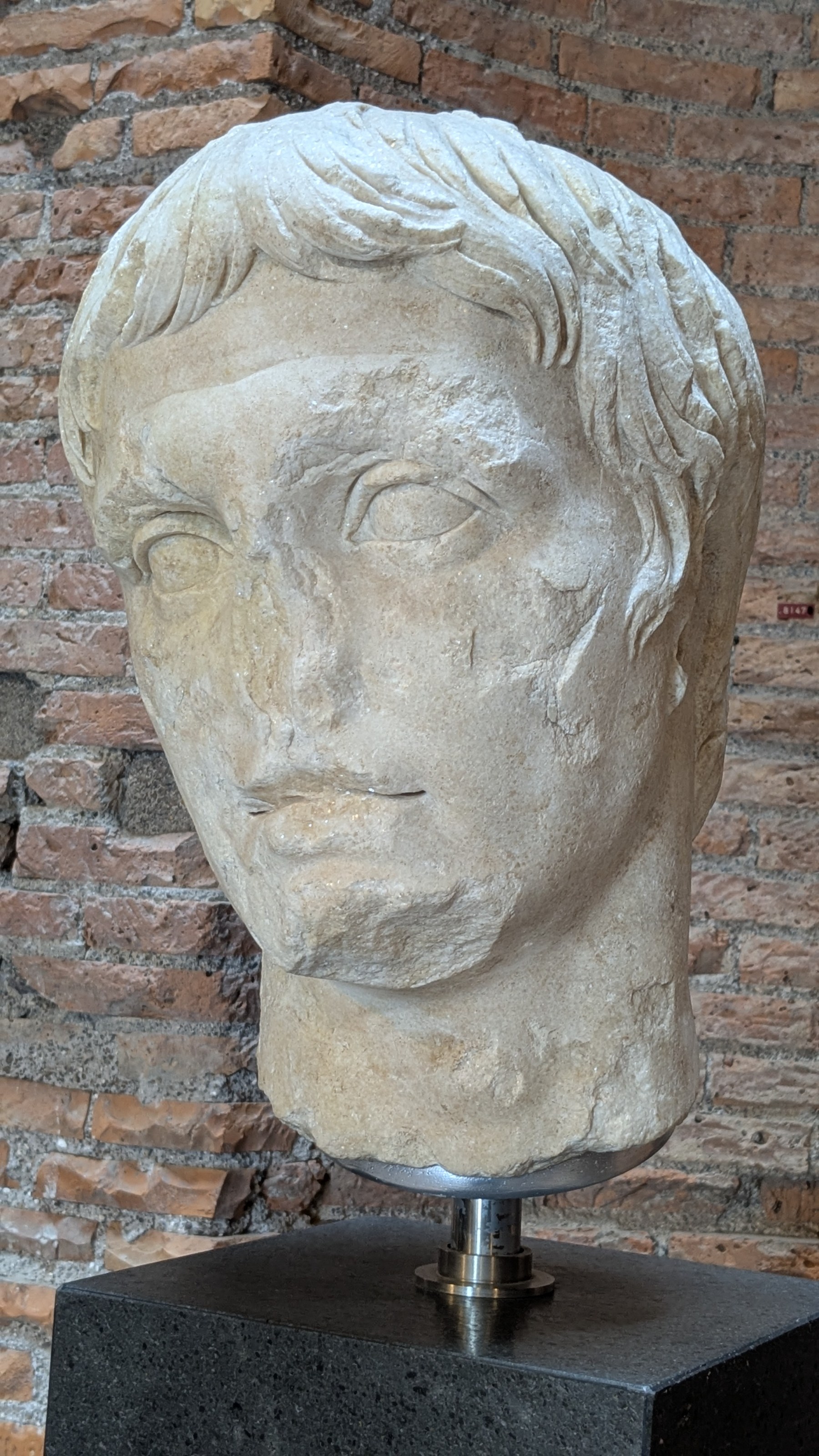 Portraiture of Augustus | The Multidisciplinarian