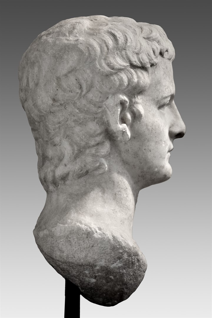 Portraits of Caligula | The Multidisciplinarian