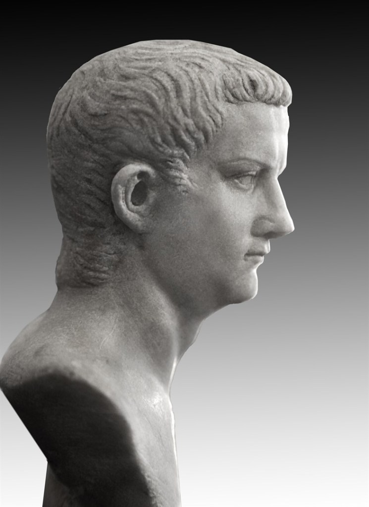 Portraits of Caligula | The Multidisciplinarian